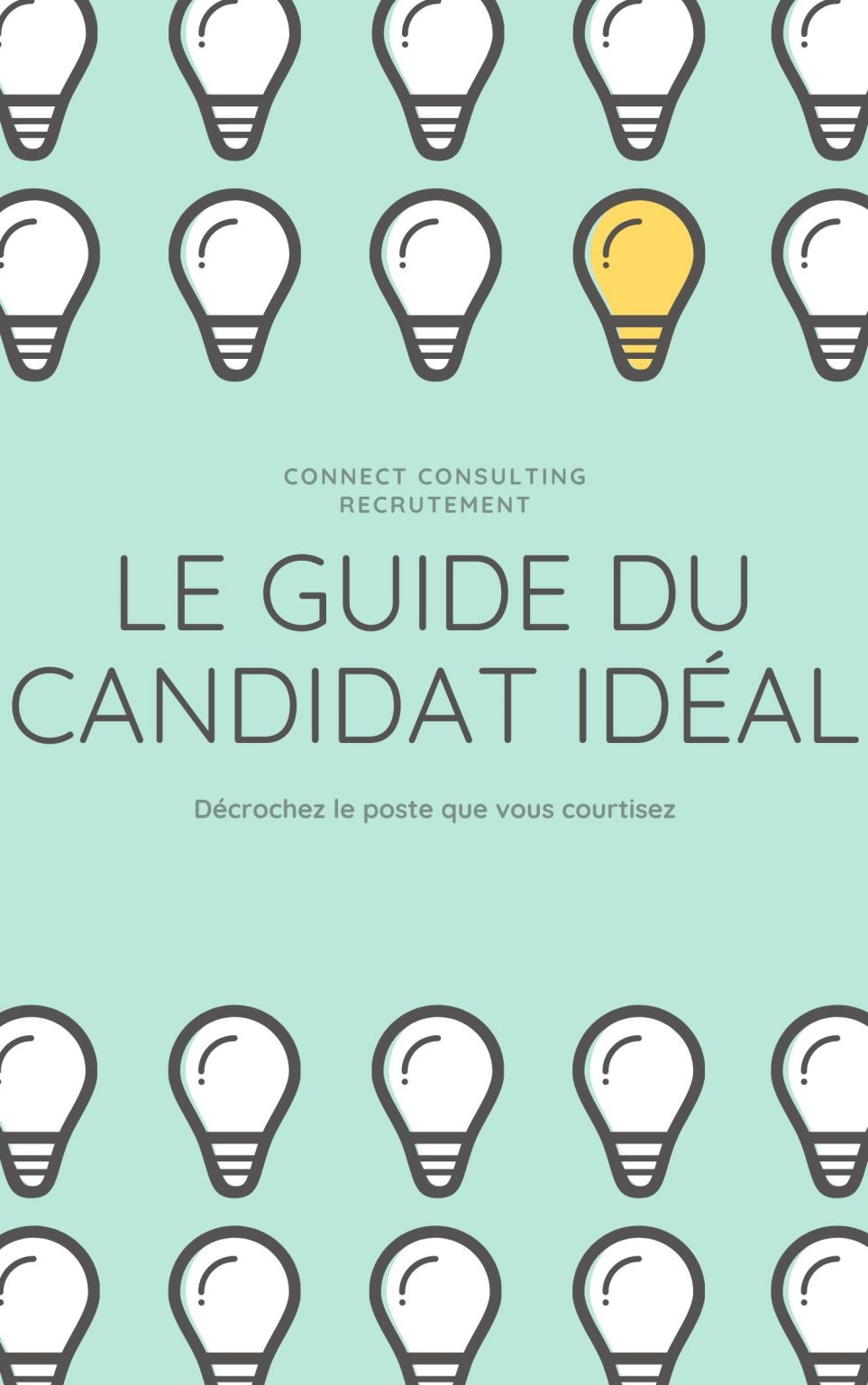 Le guide du candidat idéal - Connect Consulting Recrutement